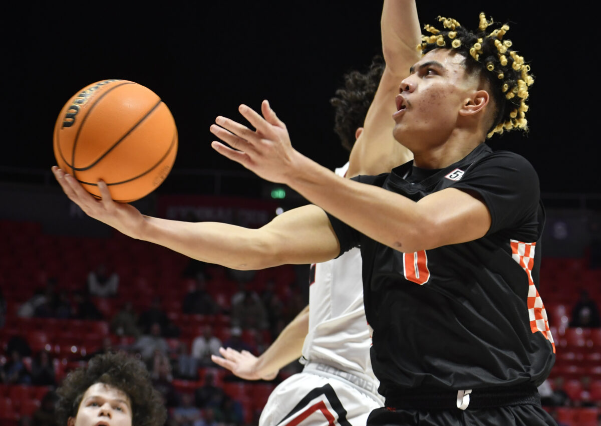 Timpview boys basketball runs out of answers, loses to Alta in 5A ...